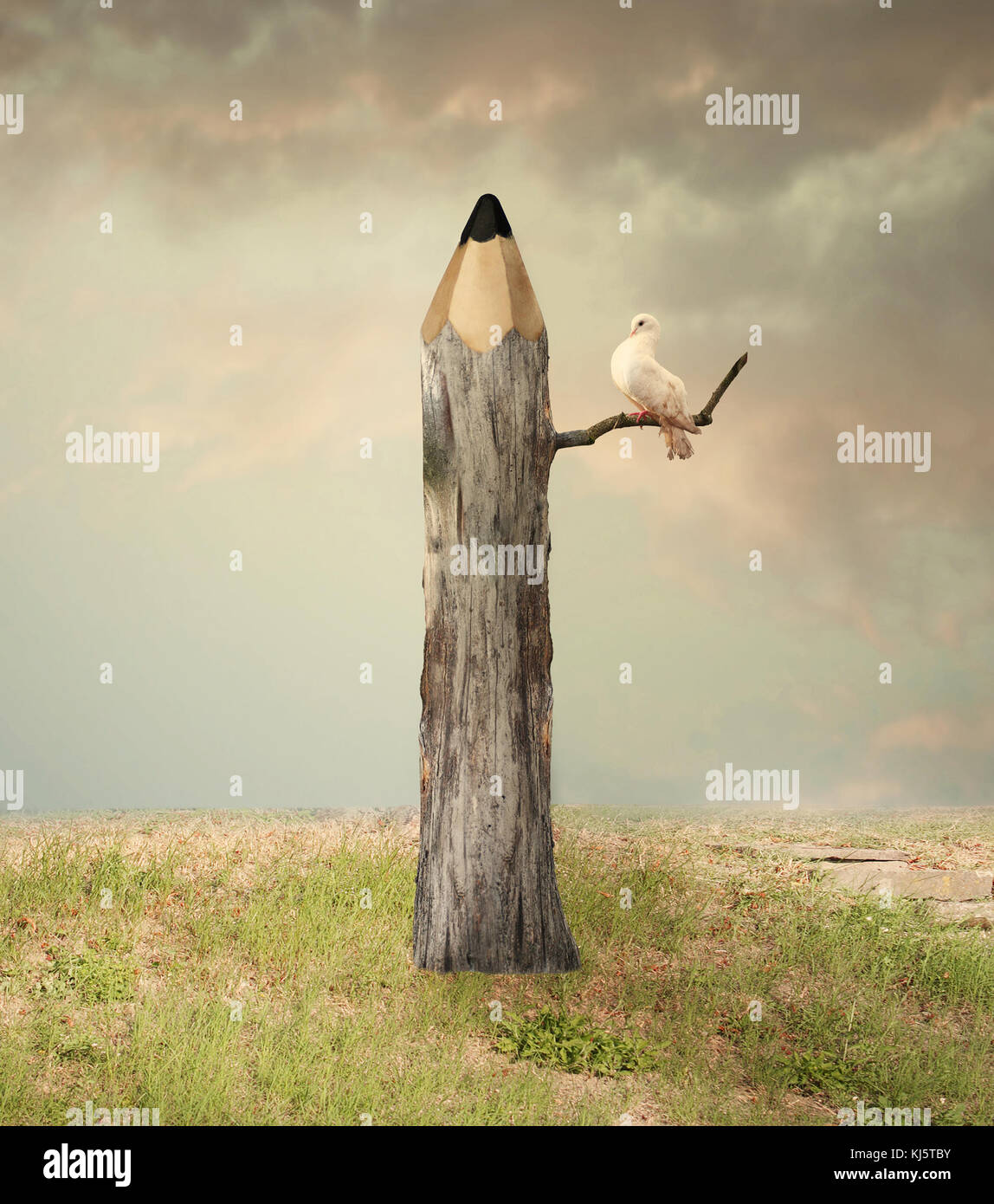 Surreal illustration imagine representing a pencil like a tree with a ...
