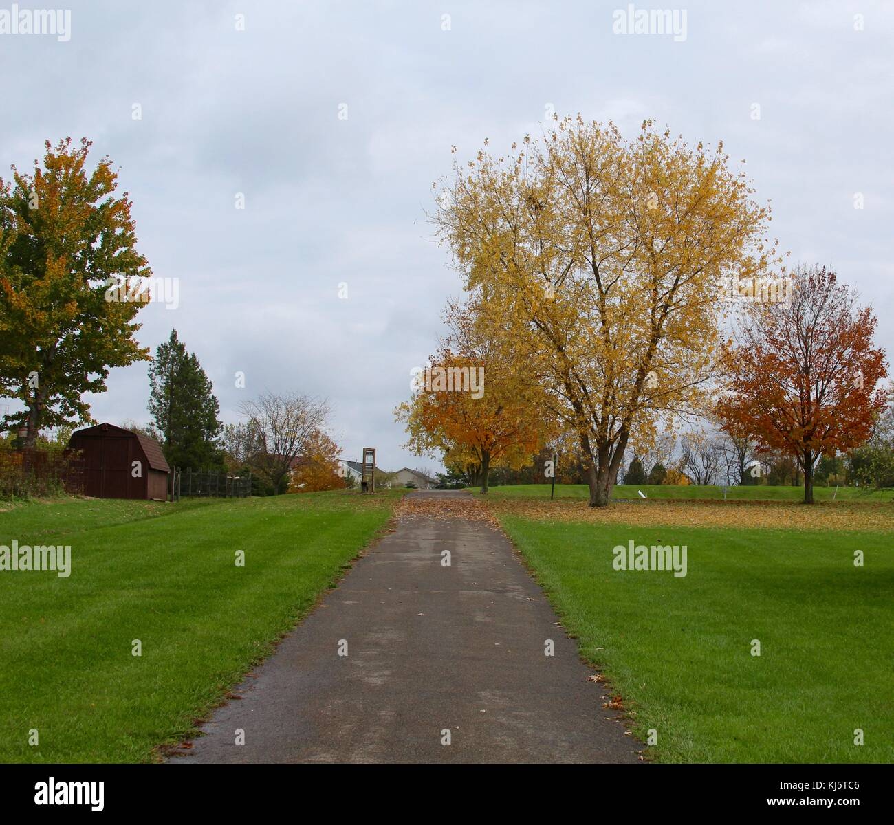 Leaves reflection scenes hi-res stock photography and images - Alamy