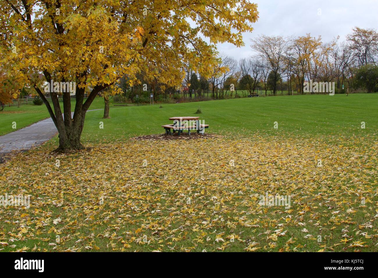 The autumn scenes in the month of gloomy November Stock Photo - Alamy