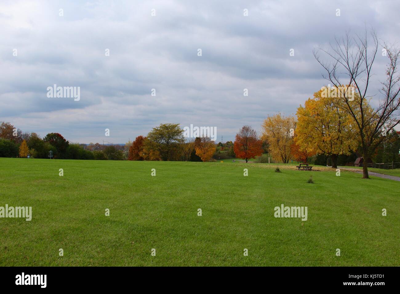 The autumn scenes in the month of gloomy November Stock Photo - Alamy