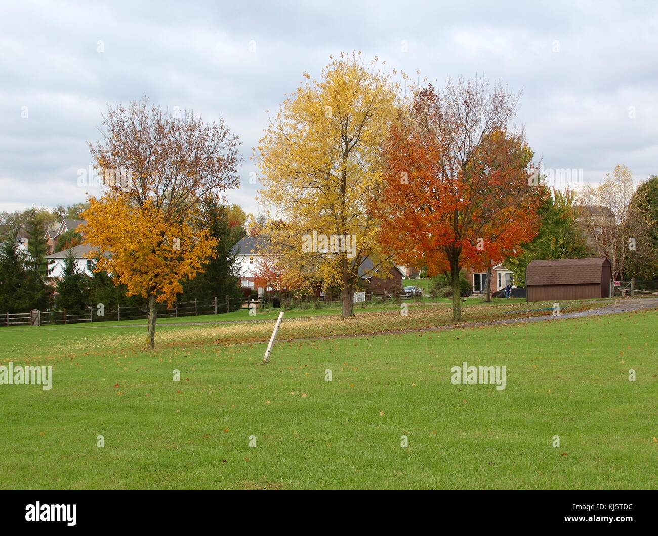 The autumn scenes in the month of gloomy November Stock Photo - Alamy