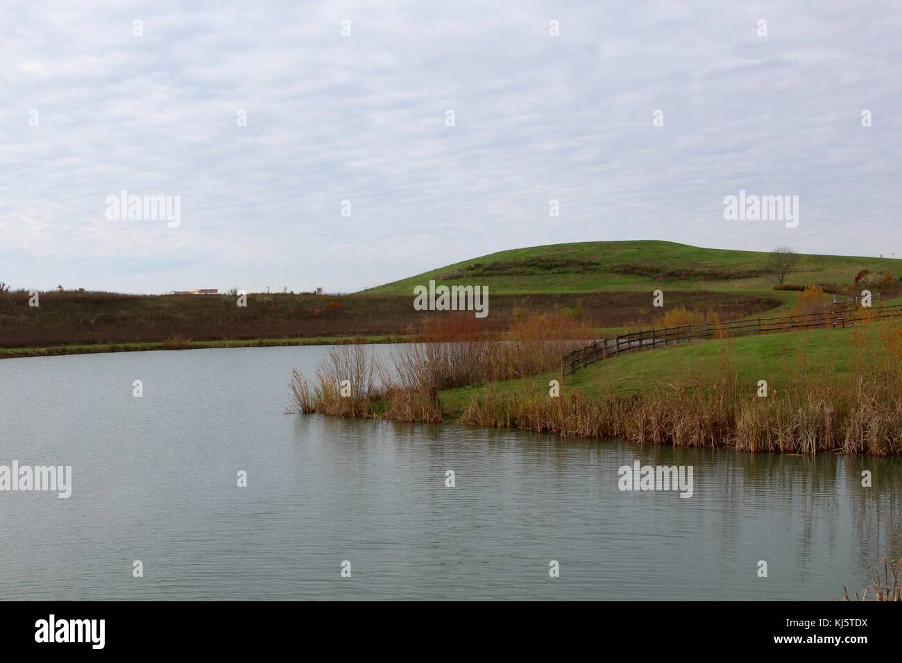 The autumn scenes in the month of gloomy November Stock Photo - Alamy