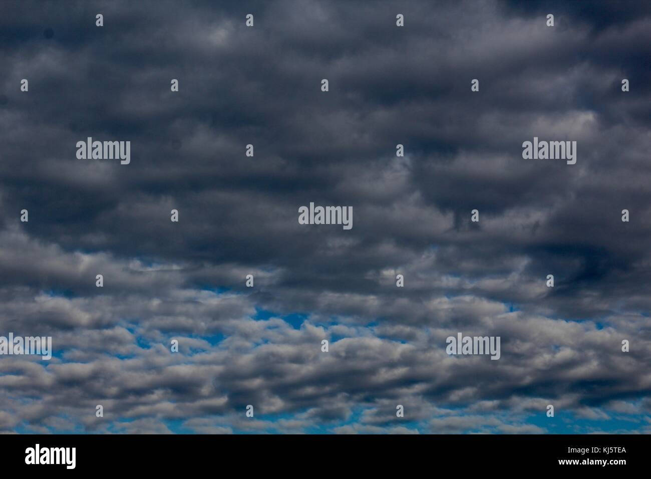 The autumn scenes in the month of gloomy November Stock Photo - Alamy