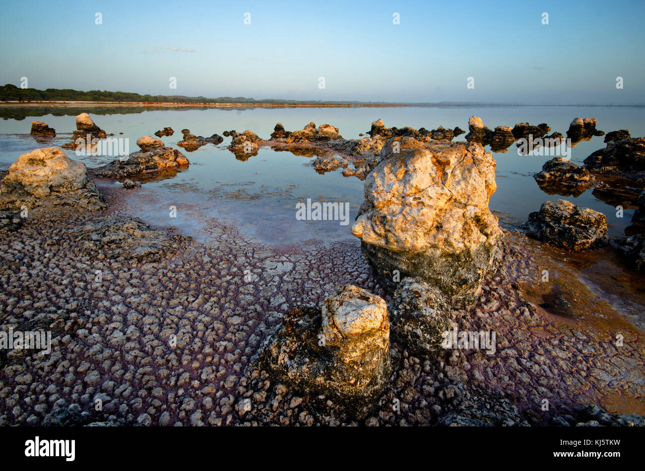 Lake Walyungup, Rockingham Western Australia Stock Photo - Alamy