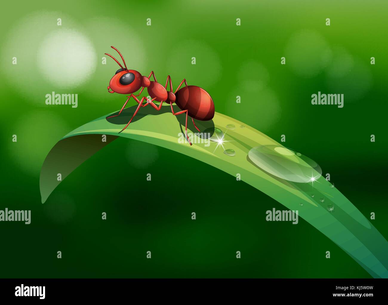 Pic of leaf Stock Vector Images - Alamy