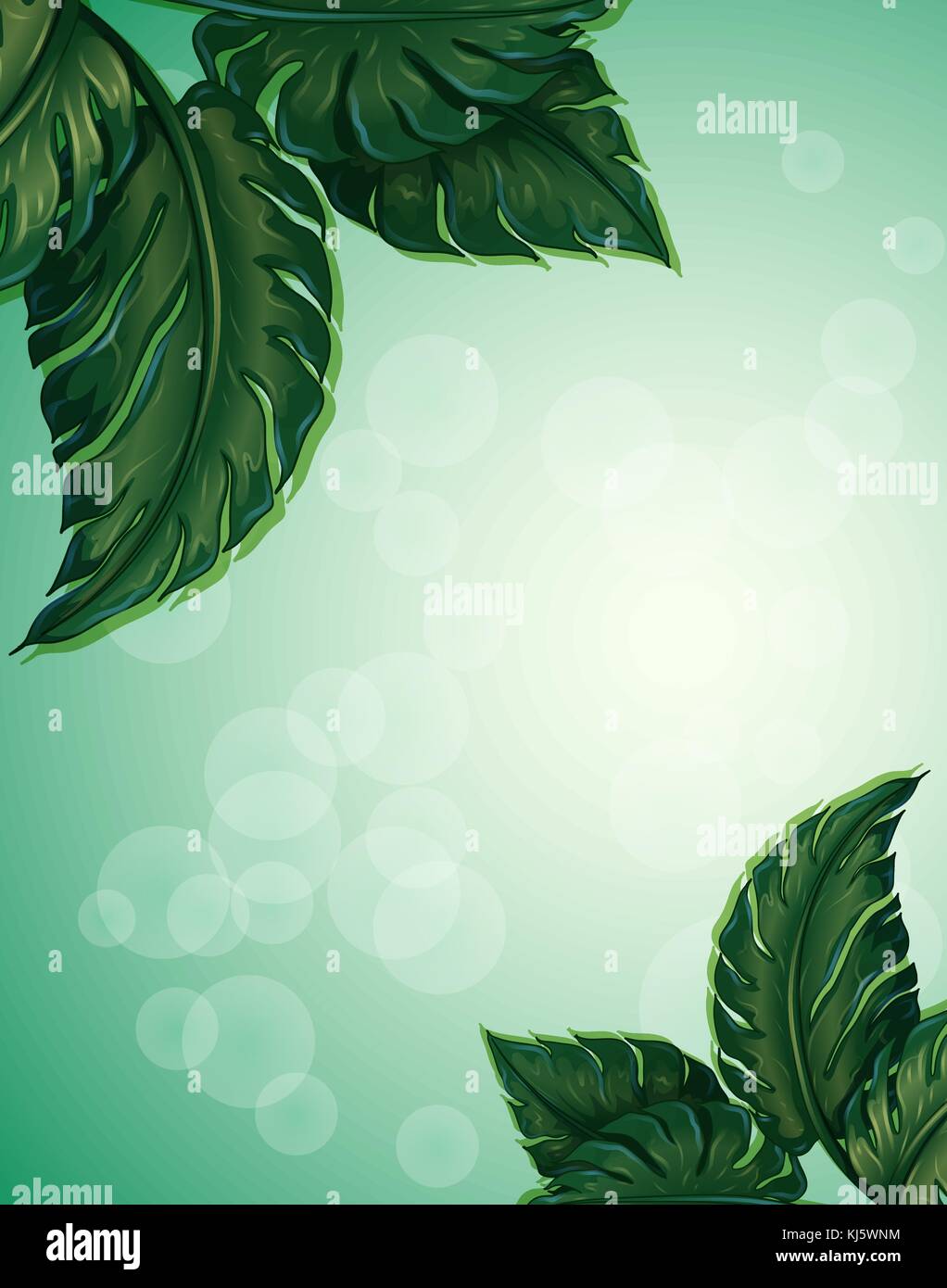 Long pointed leaves Stock Vector Images - Alamy