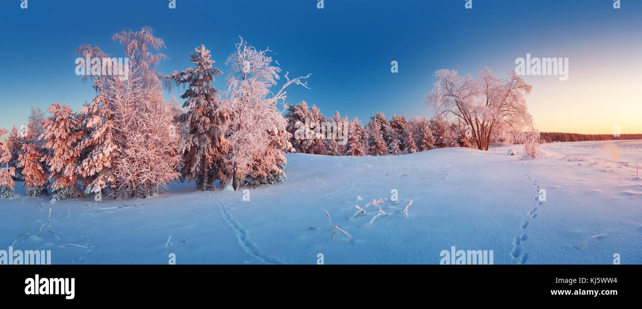 Tree in winter landscape Stock Photo - Alamy