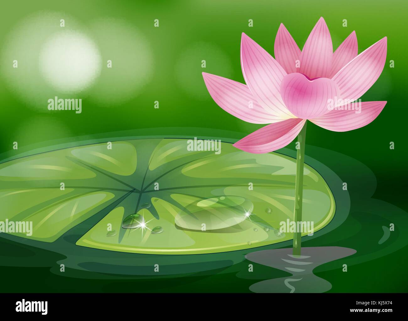 Ornamental pond Stock Vector Images - Alamy
