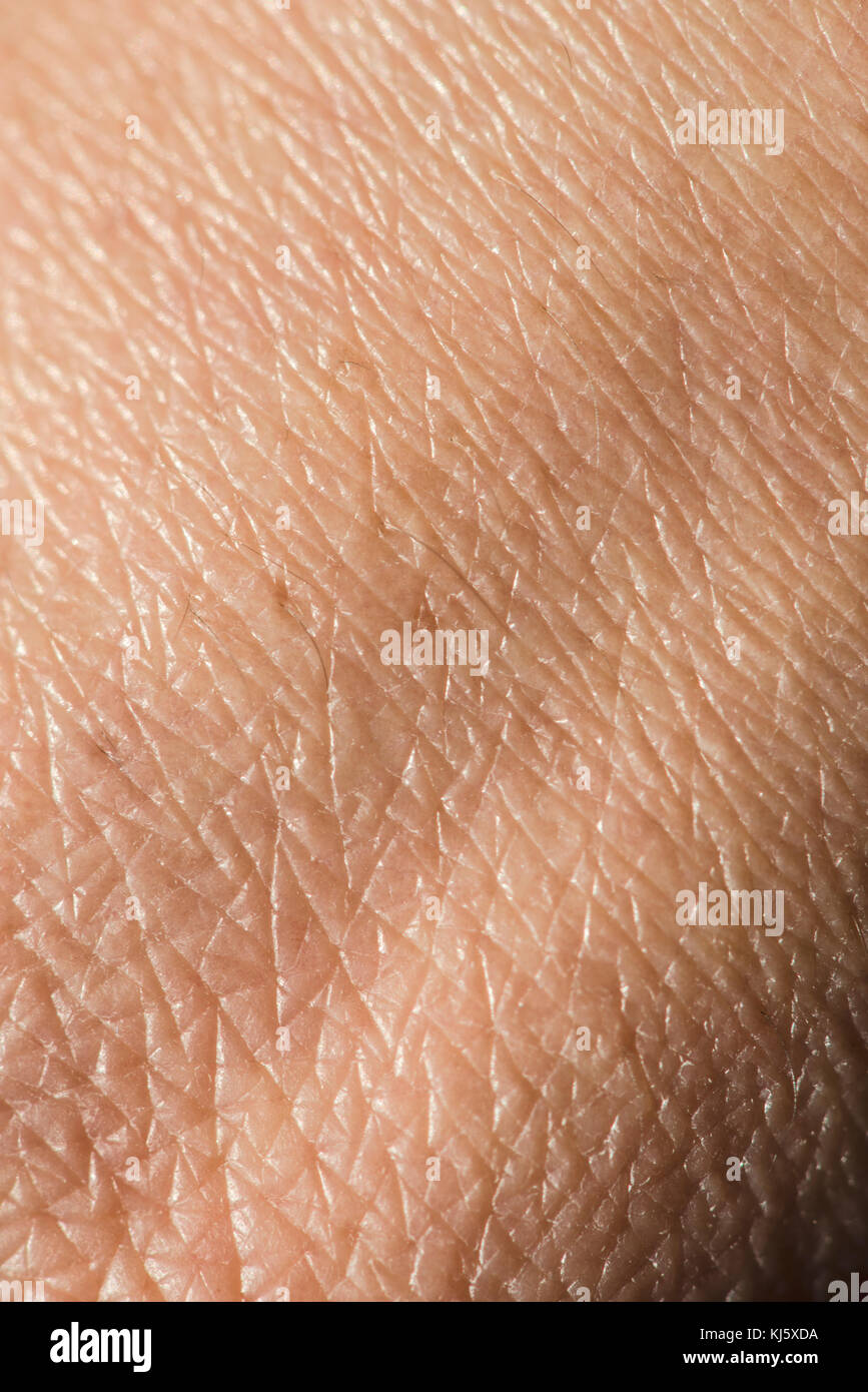 Human skin close up background Stock Photo - Alamy