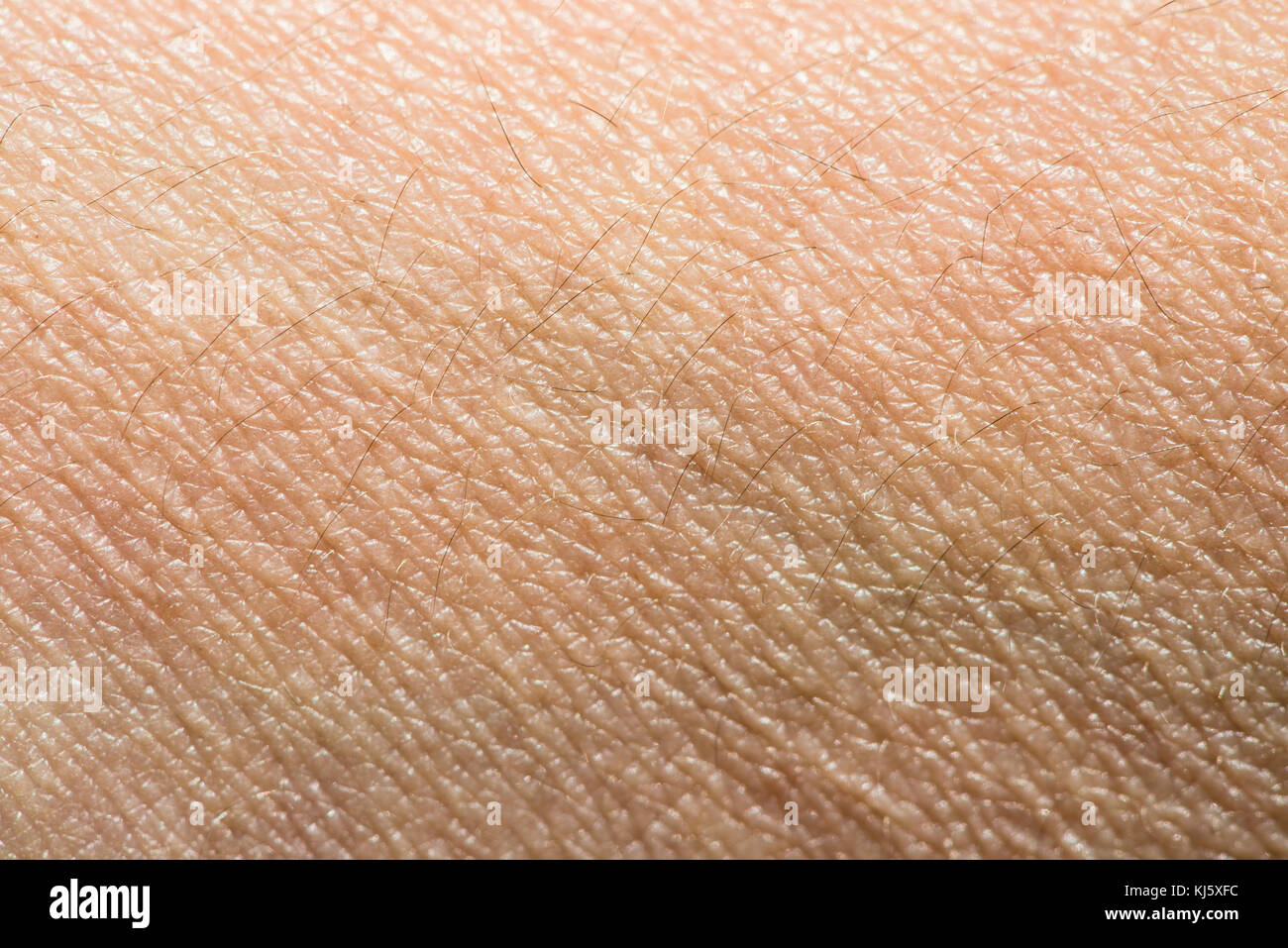 Human skin close up background Stock Photo - Alamy