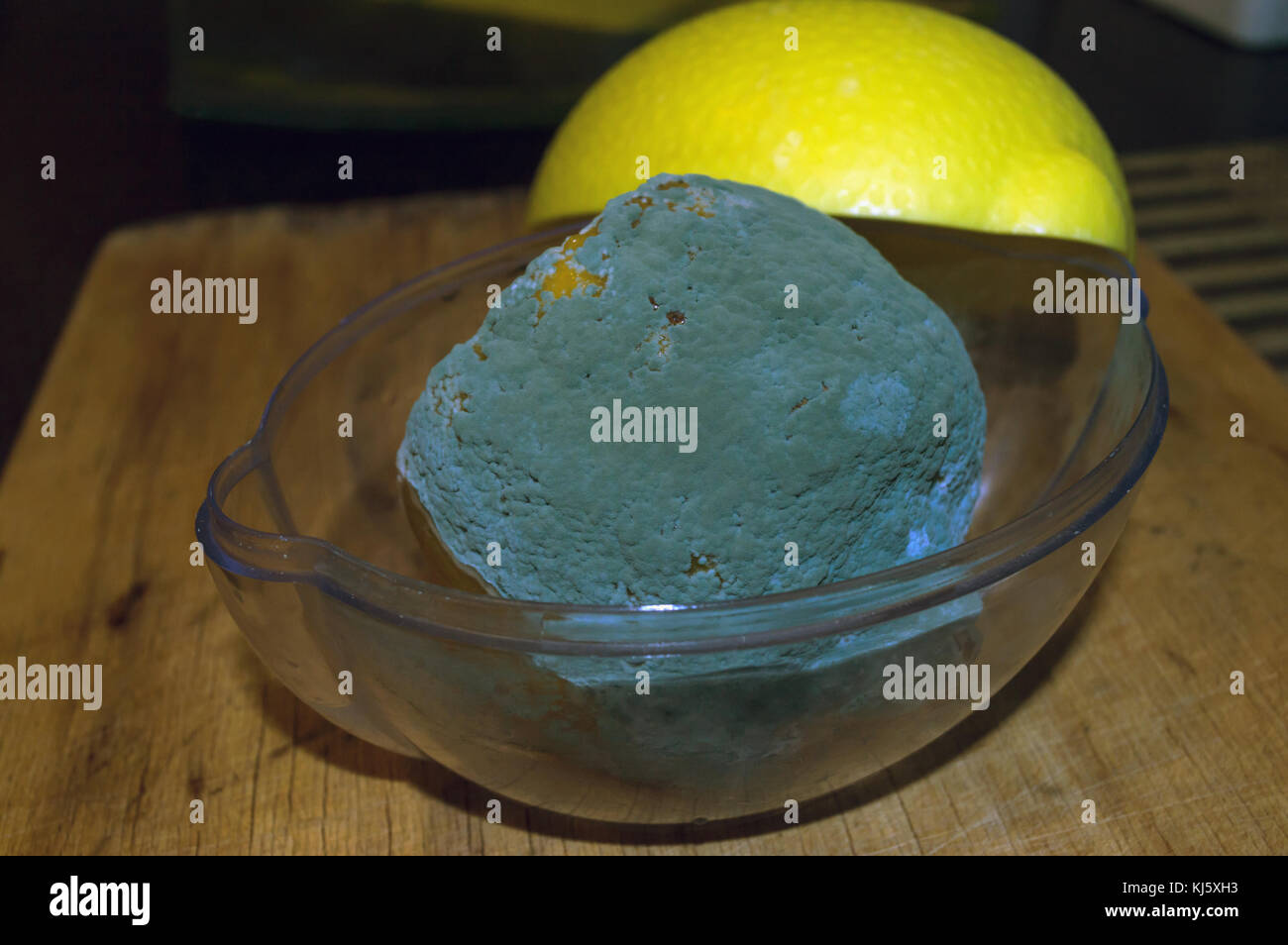 close up of lemon covered with mold Stock Photo - Alamy