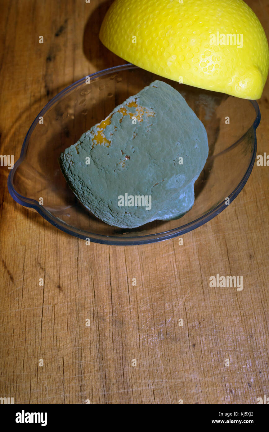 decayed lemon covered in green mold on wooden background Stock Photo ...