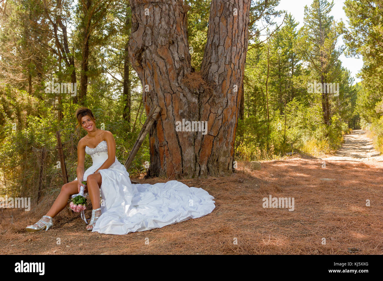 portrait of a beautiful bride in a forest Stock Photo - Alamy
