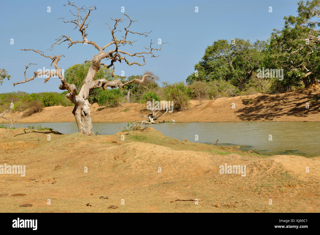 A vista across the countryside of Southeastern Sri Lanka Stock Photo ...