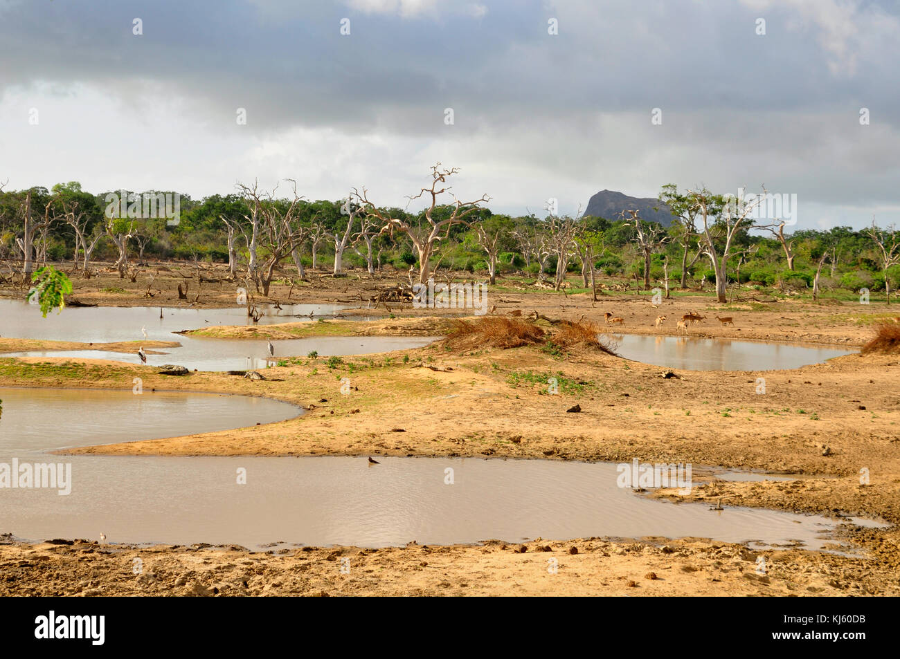 A vista across the countryside of Southeastern Sri Lanka Stock Photo ...