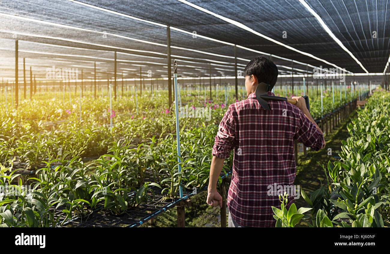 Farmer fresh vegetables, agriculture food production concept ...