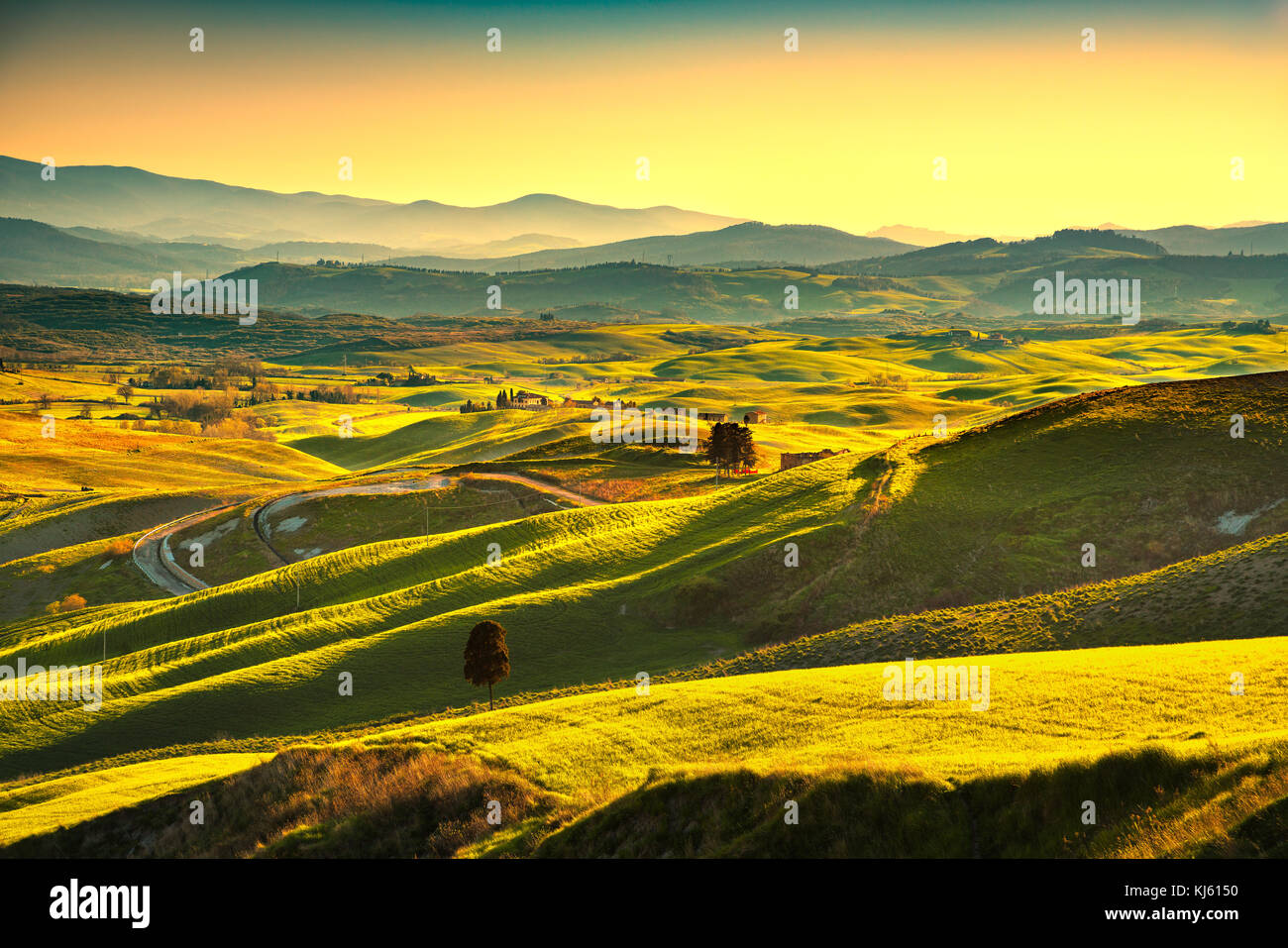 Volterra panorama, rolling hills, trees, and green fields at sunset ...