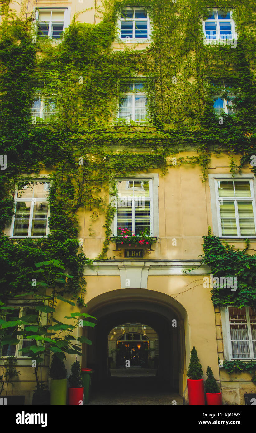 Ivy-covered yellow building in a courtyard in Vienna Stock Photo - Alamy
