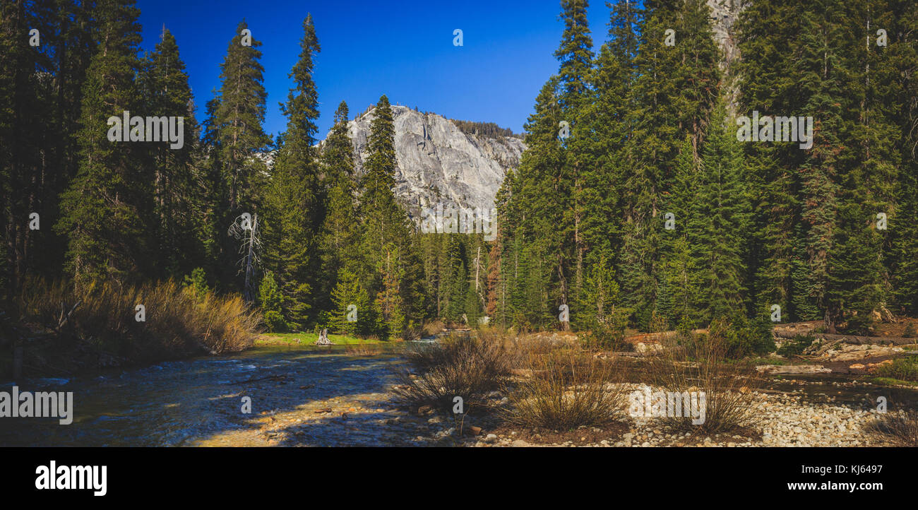 Marble Fork Kaweah River winding through the dense forest with a ...