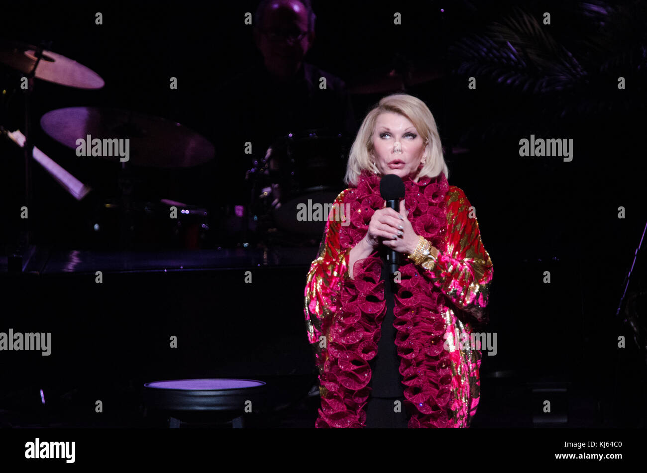 PALM BEACH, FL - JANUARY 26: Joan Alexandra Molinsky, known as Joan ...