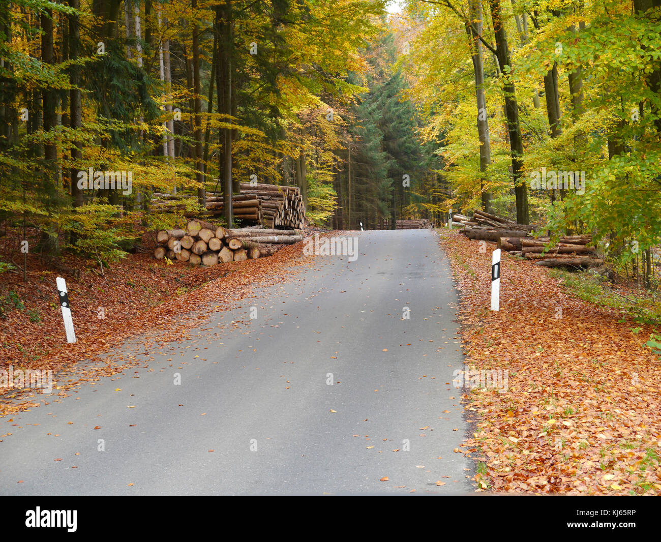 Yard scenery hi-res stock photography and images - Alamy