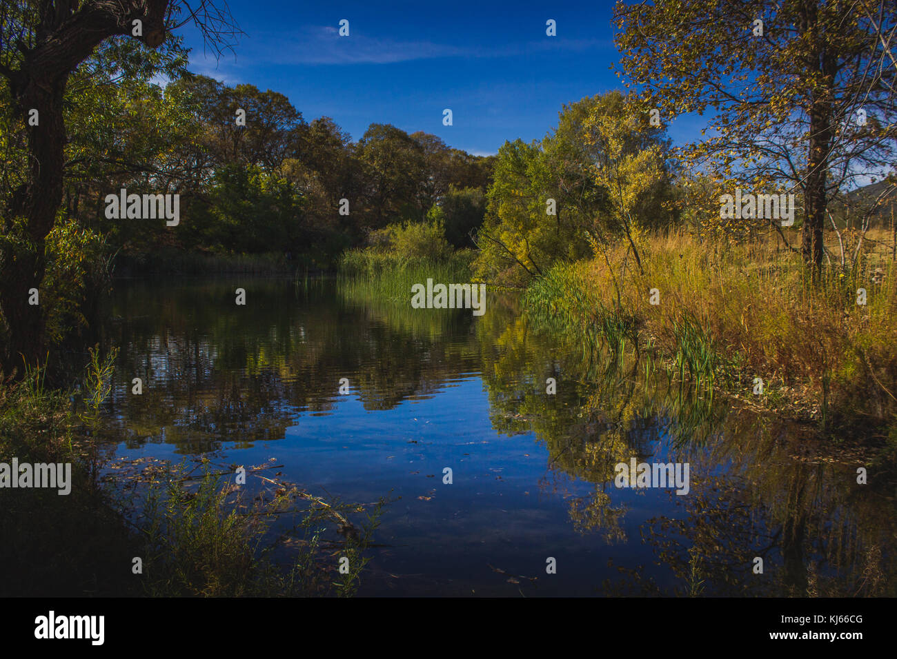 Stunning fall foliage surrounding a small lake with reflections of blue ...