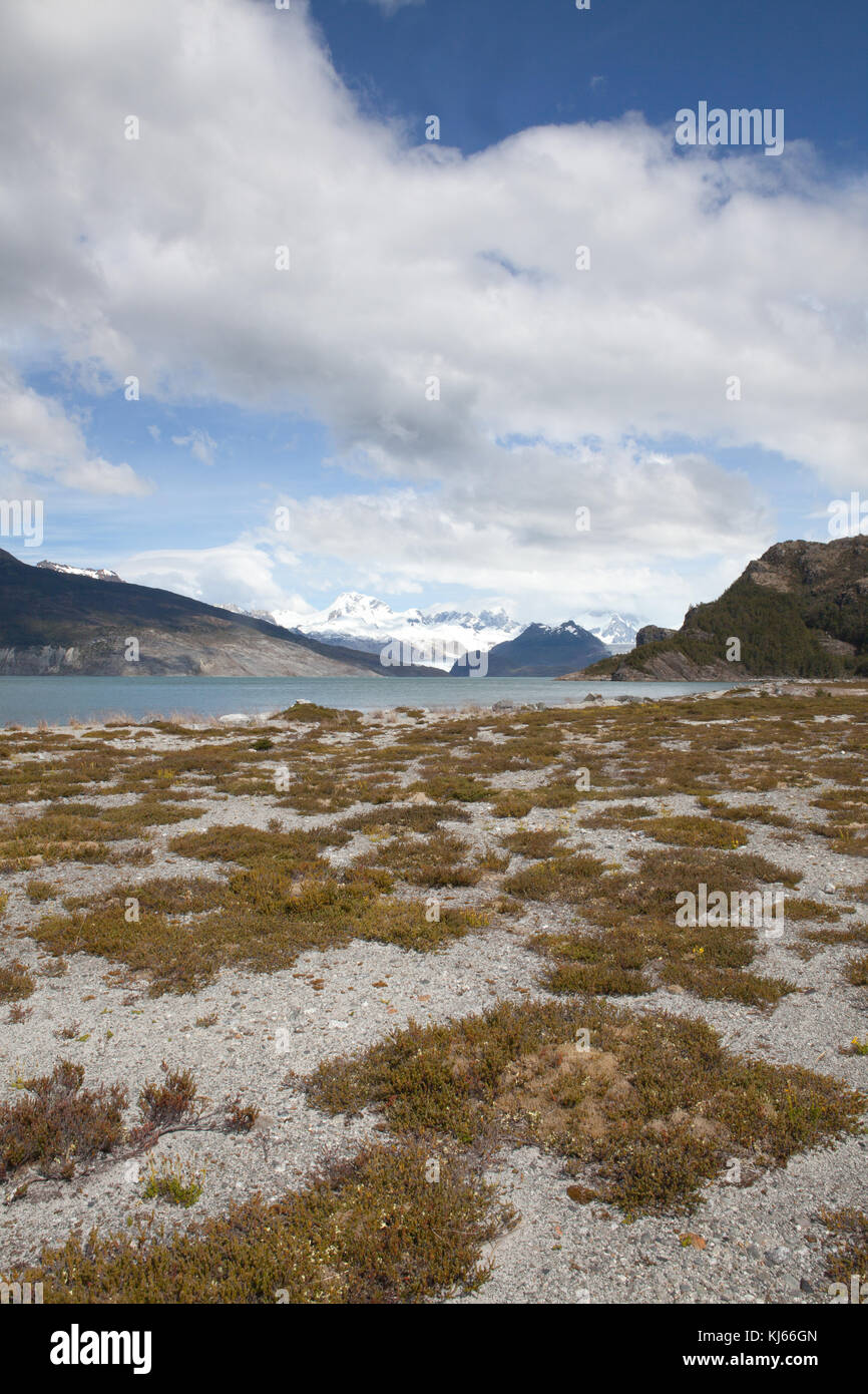 Caleta Wulaia, baie de Wulaia, Chile Stock Photo - Alamy