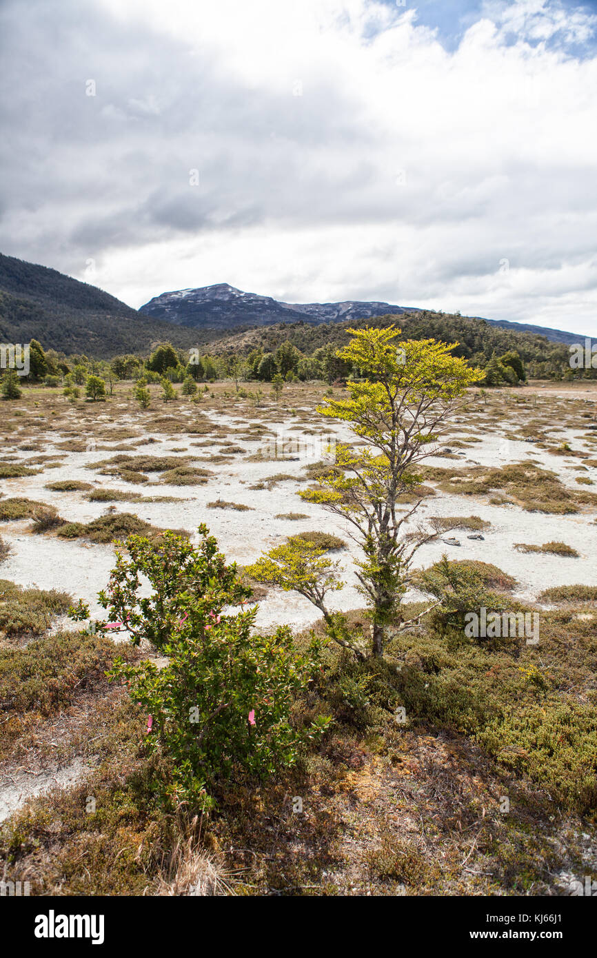 Caleta Wulaia, baie de Wulaia, Chile Stock Photo - Alamy