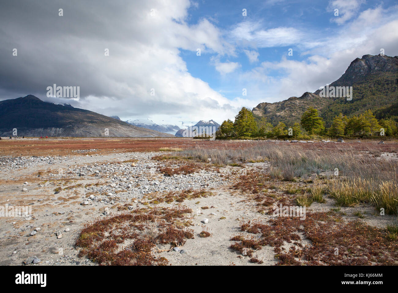 Caleta Wulaia, baie de Wulaia, Chile Stock Photo - Alamy