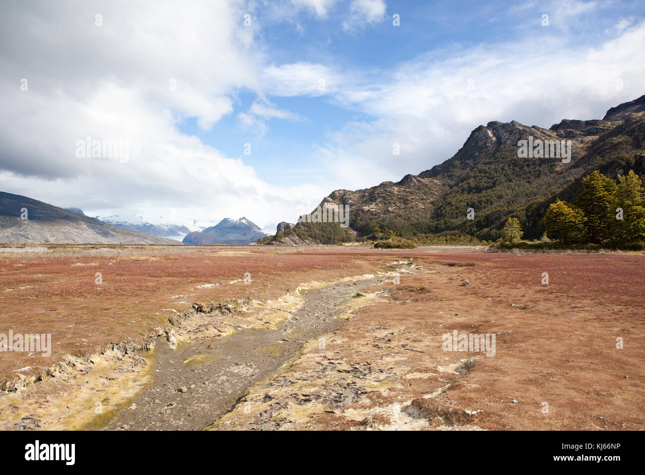 Caleta Wulaia, baie de Wulaia, Chile Stock Photo - Alamy