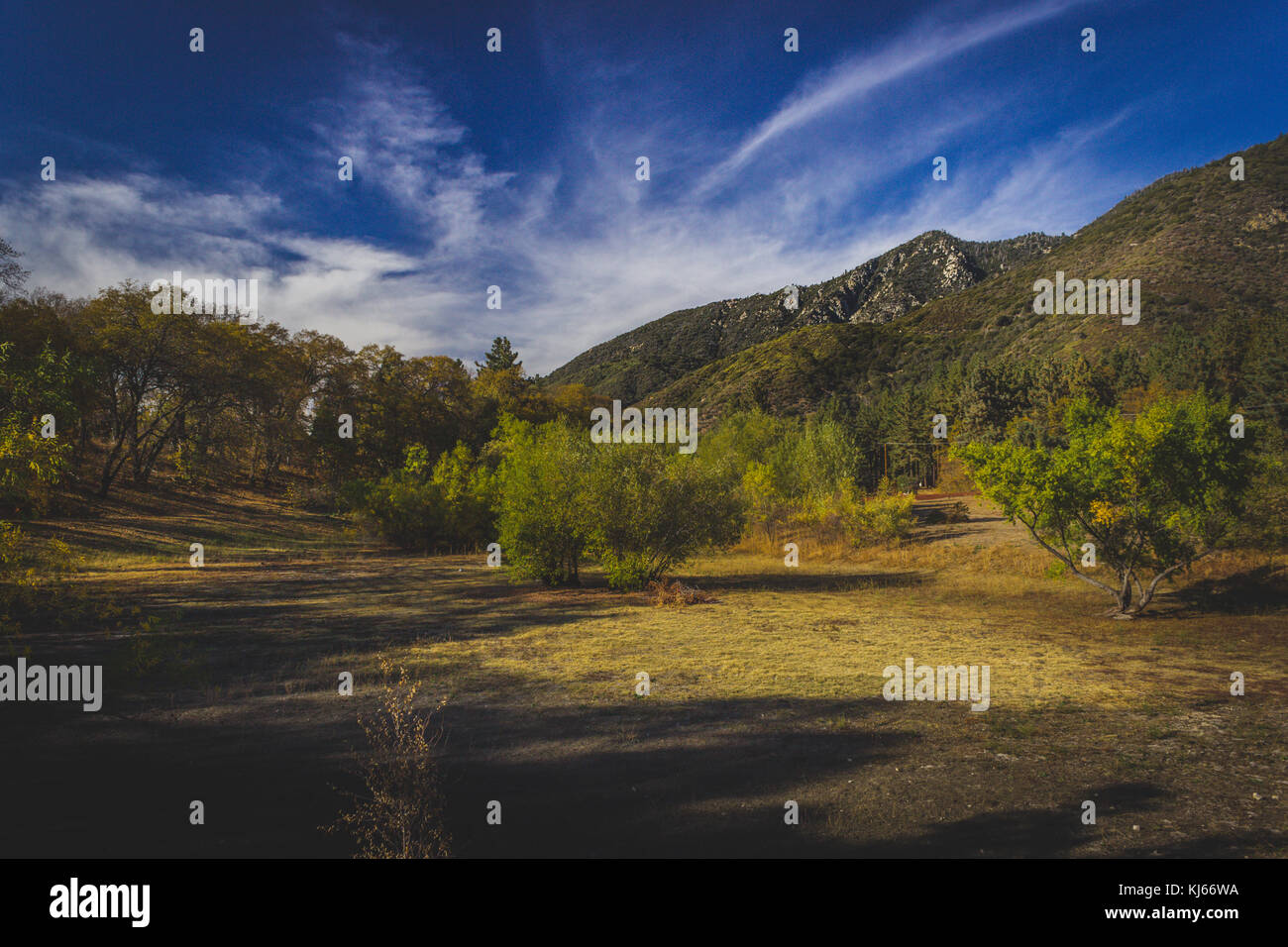 Clearing in the forest with tree-covered mountains in the background ...