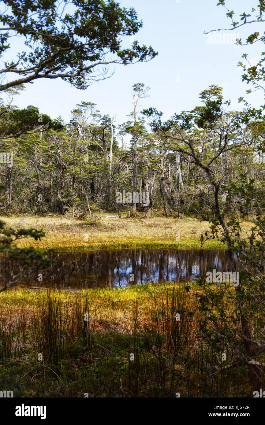 Paysage de patagonie hi-res stock photography and images - Alamy