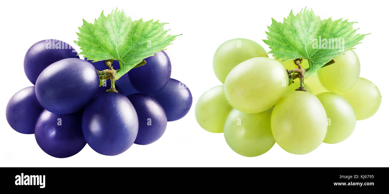 Small branches of blue and white grapes with leaves. Isolated on white ...