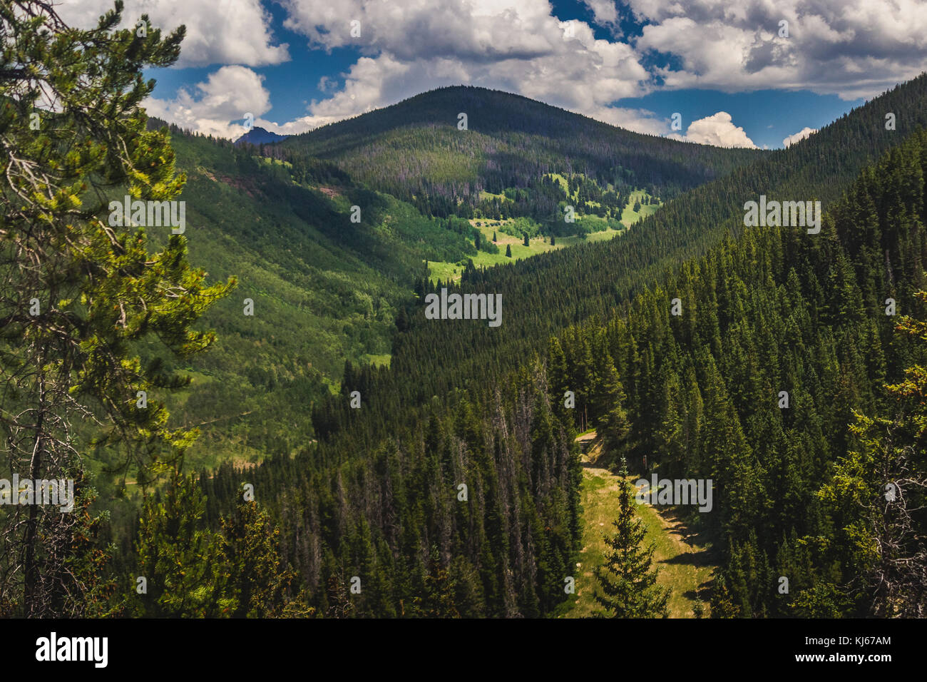 Tree-covered Vail Mountain with blue skies and shadows cast from the ...