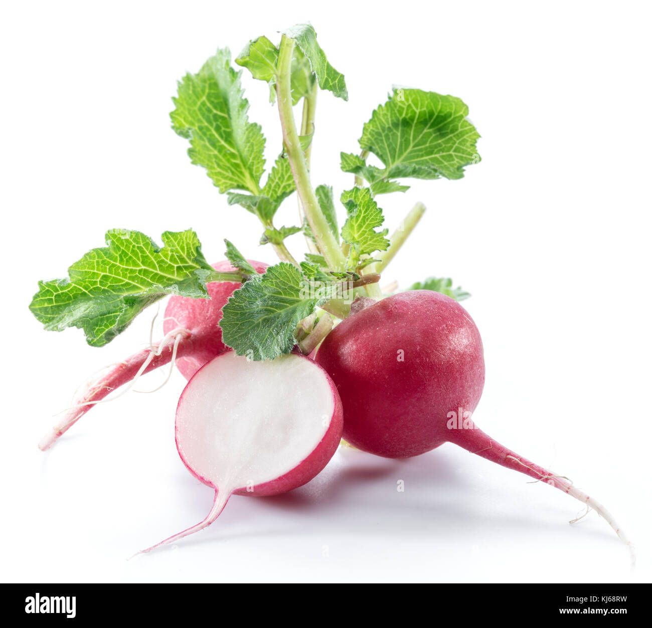 Radish root cross section hi-res stock photography and images - Alamy