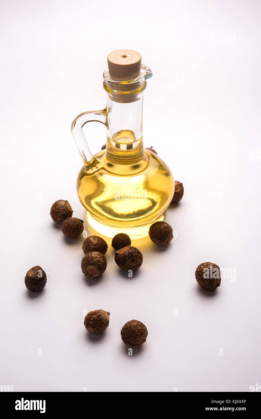 Chinese soap berry soap nut tree hi-res stock photography and images ...