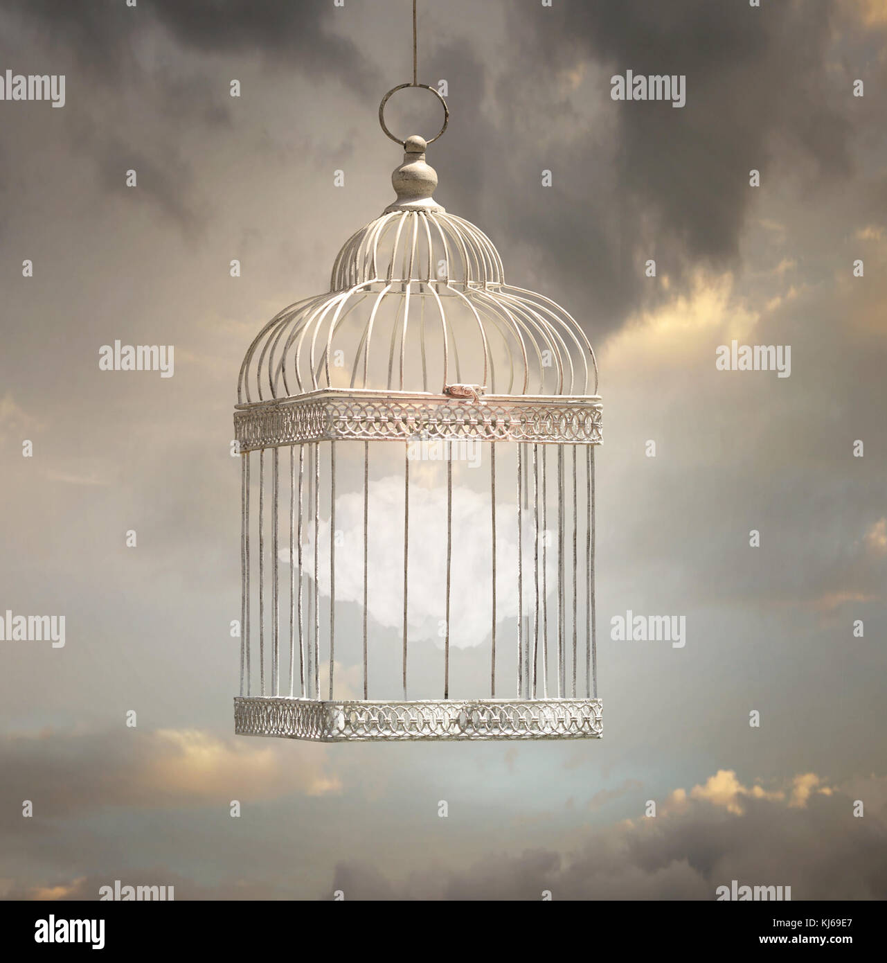 Inside a cage hi-res stock photography and images - Alamy
