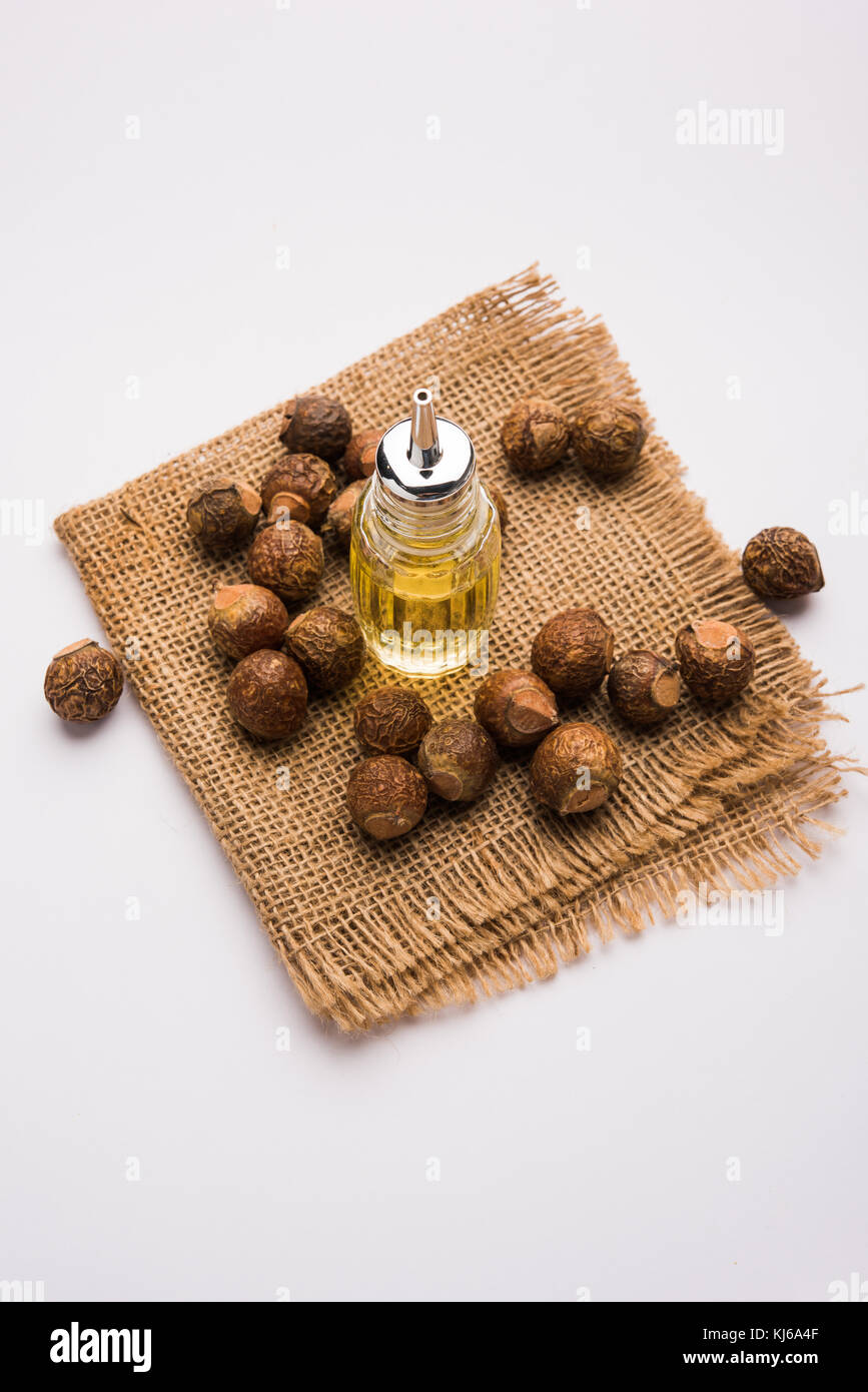 Soap nut tree seeds hi-res stock photography and images - Alamy