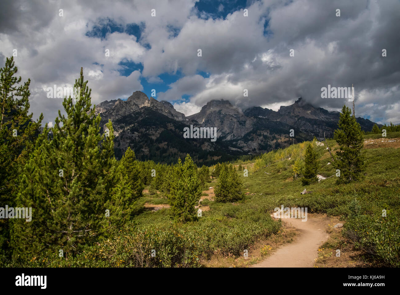 Open scenery near Taggart Lake and the Grand Teton mountains at Grand ...
