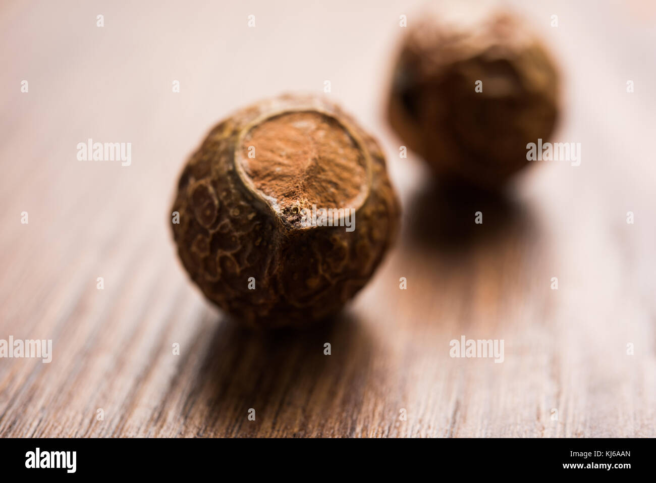 Chinese soap berry soap nut tree hi-res stock photography and images ...