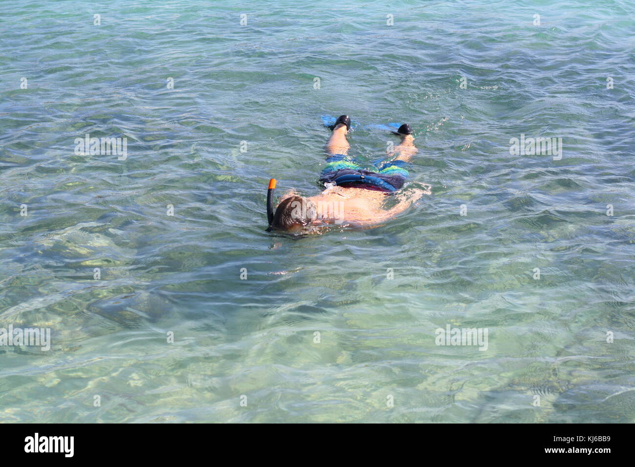 A snorkel diving in the beach sea water, to find shells and observe ...