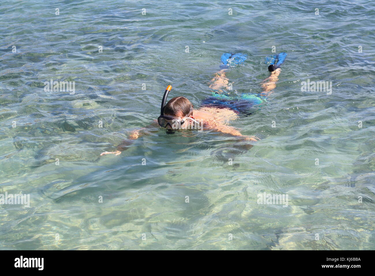 A snorkel diving in the beach sea water, to find shells and observe ...