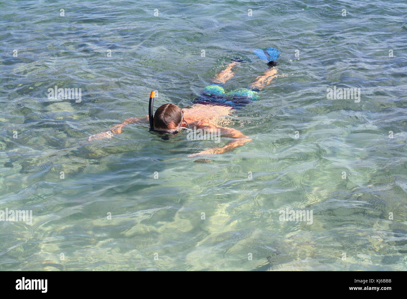 A snorkel diving in the beach sea water, to find shells and observe ...