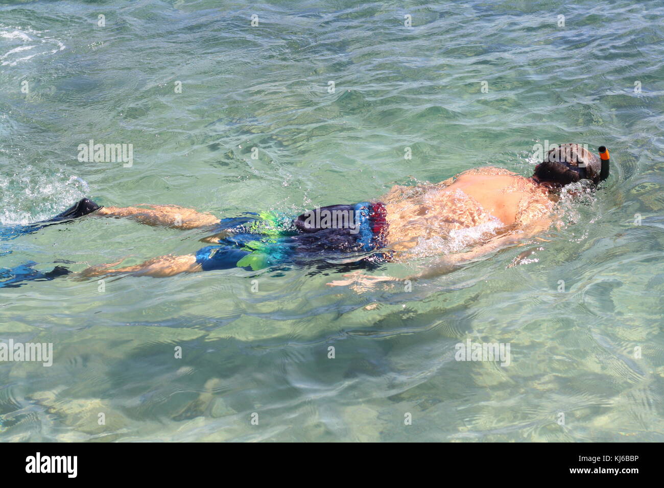 A snorkel diving in the beach sea water, to find shells and observe ...