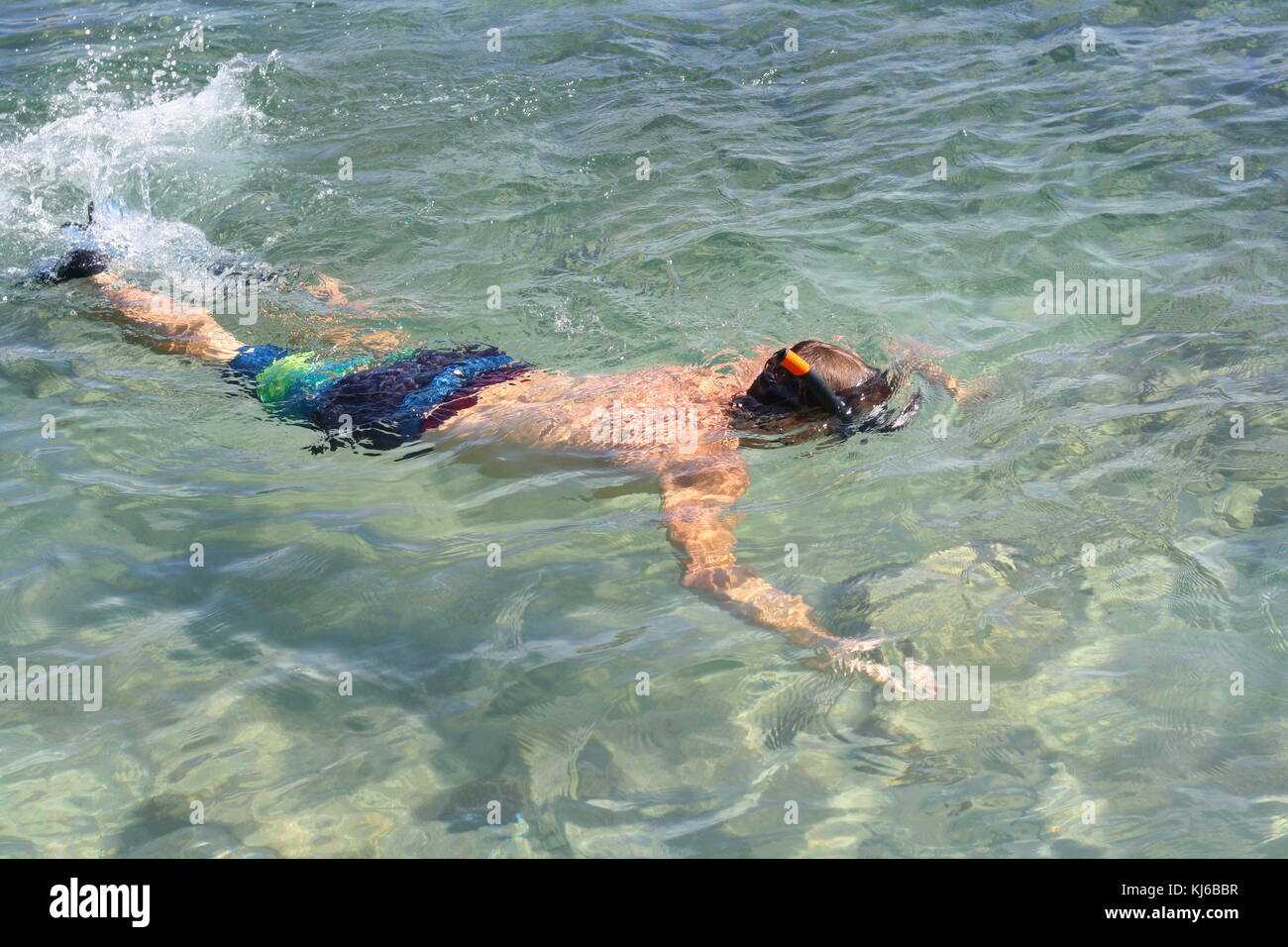 A snorkel diving in the beach sea water, to find shells and observe ...