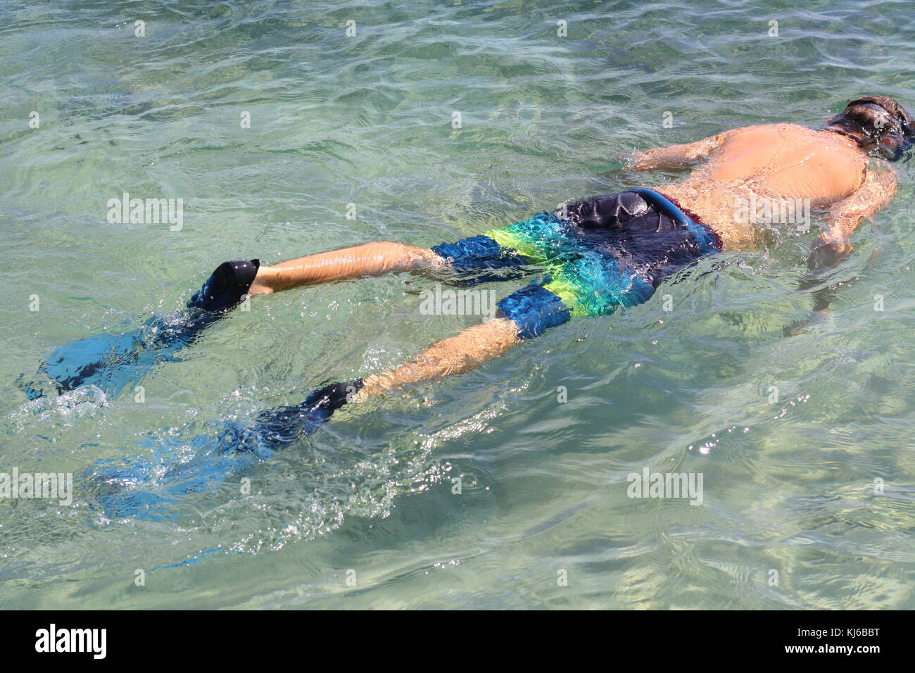A snorkel diving in the beach sea water, to find shells and observe ...