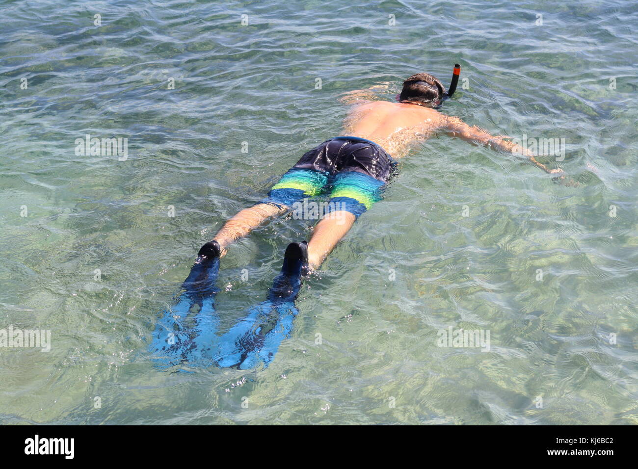 A snorkel diving in the beach sea water, to find shells and observe ...