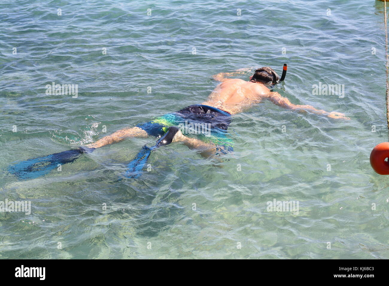 A snorkel diving in the beach sea water, to find shells and observe ...