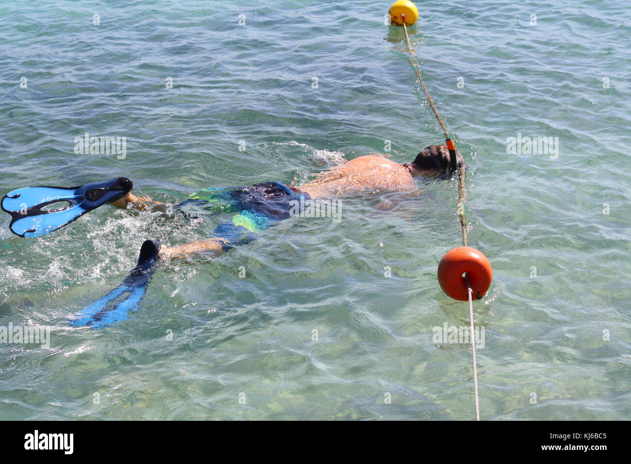 A snorkel diving in the beach sea water, to find shells and observe ...