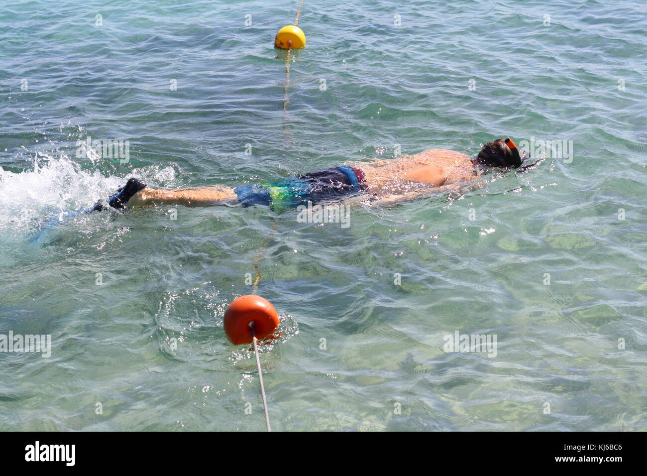 A snorkel diving in the beach sea water, to find shells and observe ...